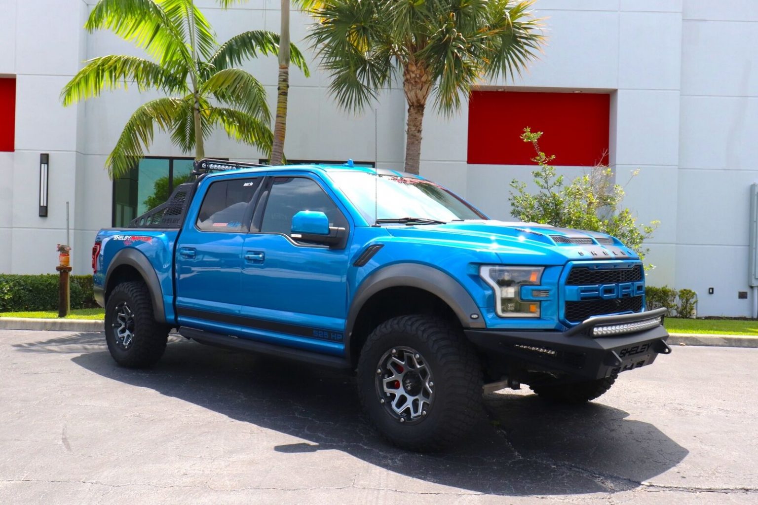 2019 Ford F-150 Raptor lifted [impressive offroad] for sale