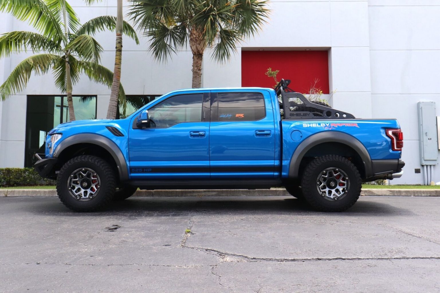 2019 Ford F-150 Raptor lifted [impressive offroad] for sale