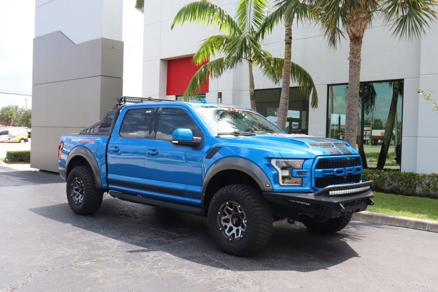 2019 Ford F-150 Raptor lifted [impressive offroad] for sale